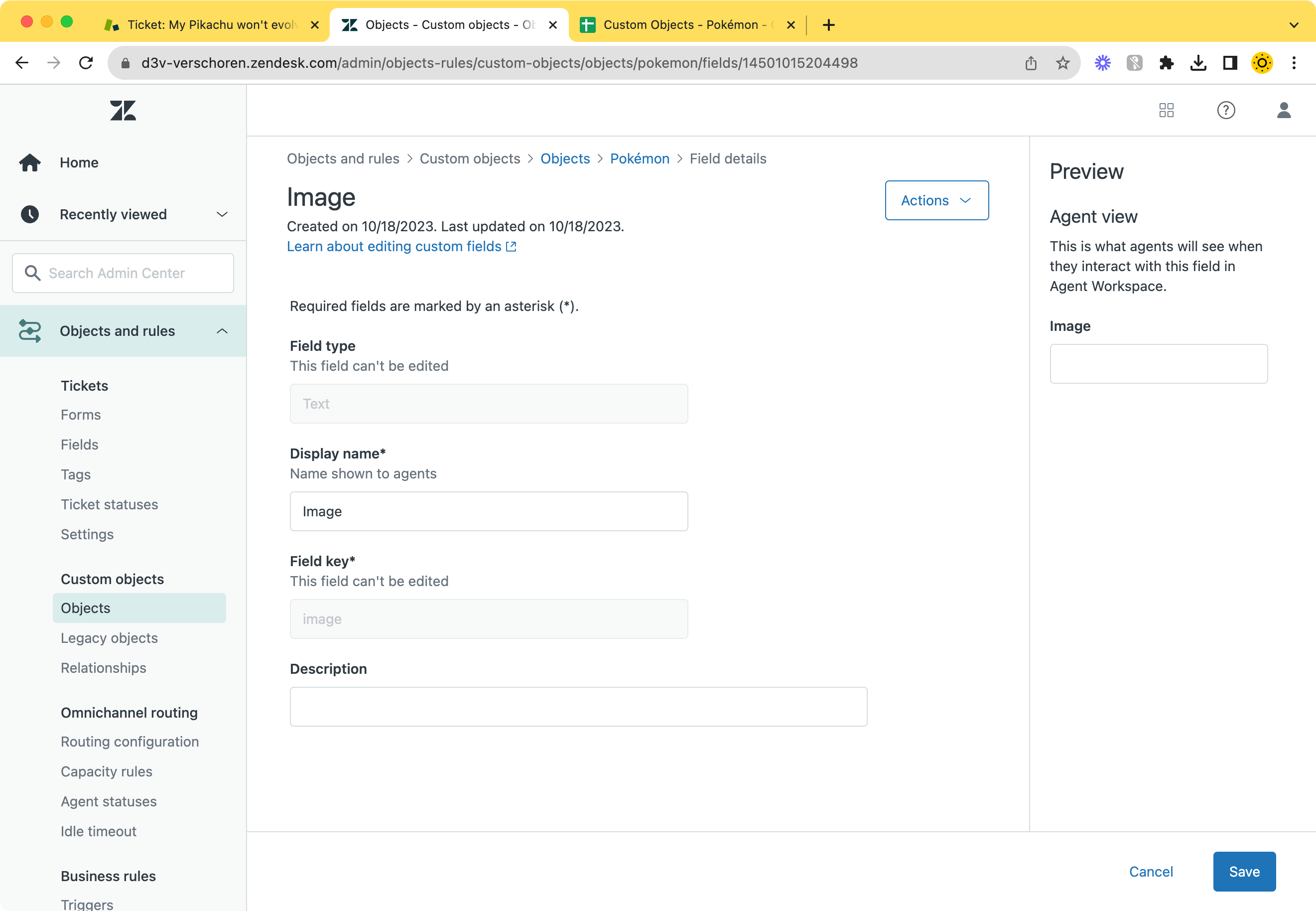 Zendesk Custom Objects Part 1 Introduction
